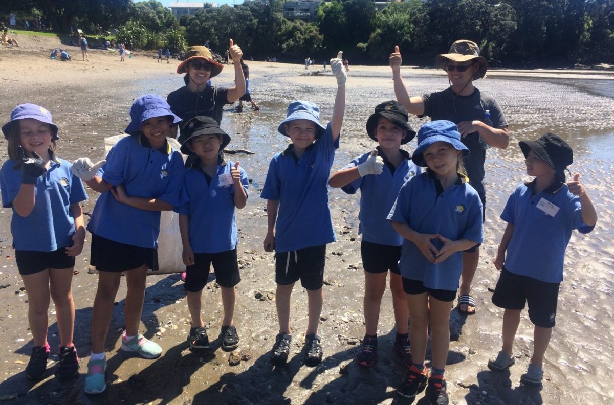 Uniform – Torbay School