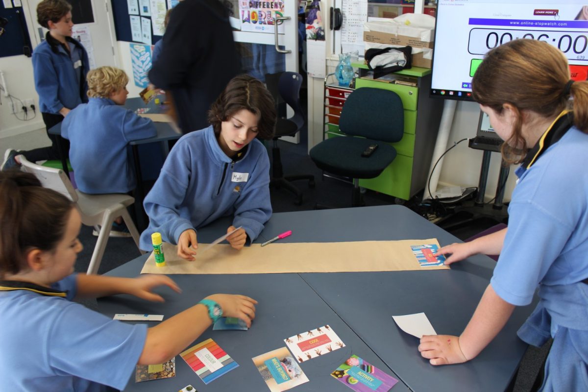 Our Curriculum – Torbay School