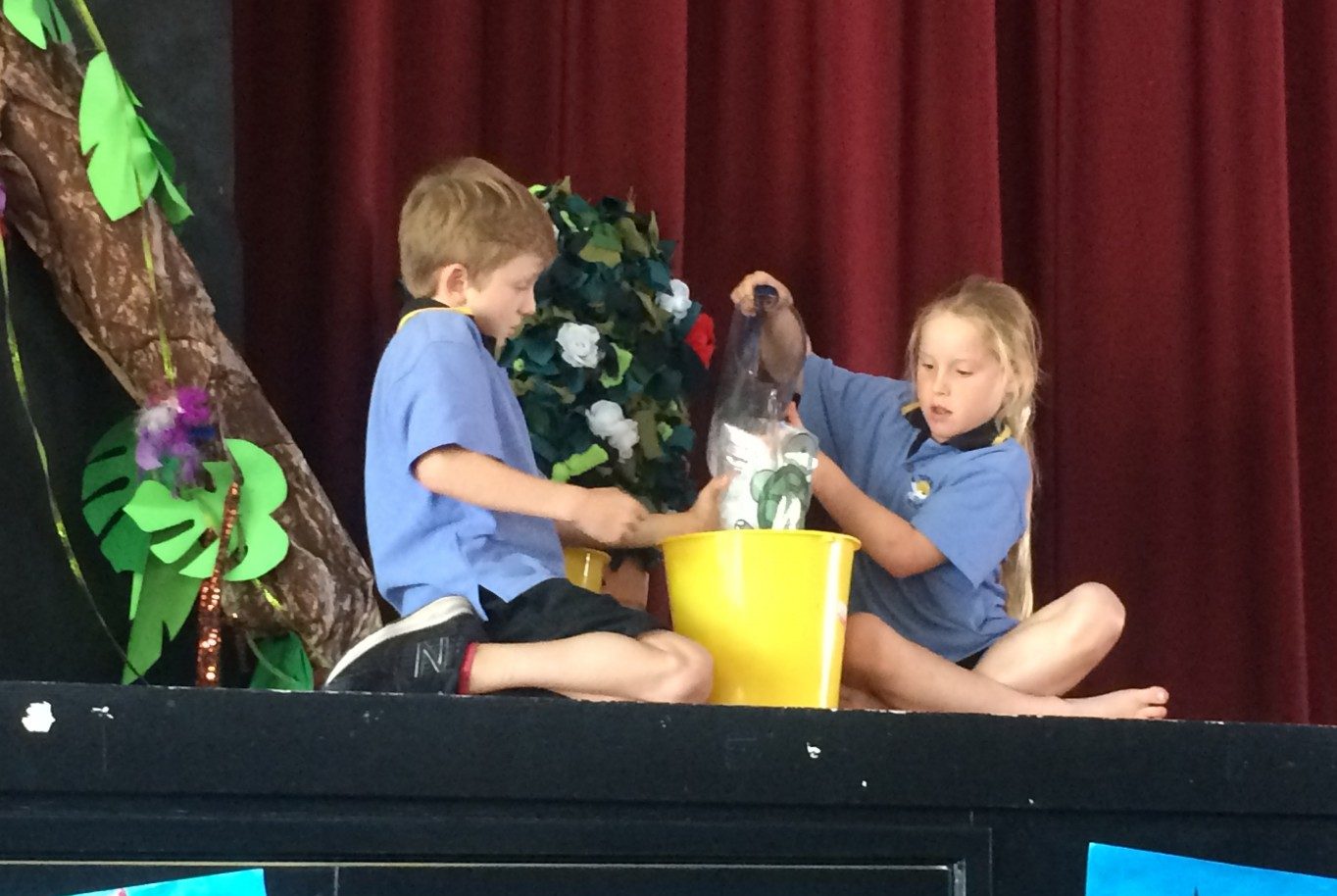 Our Curriculum – Torbay School