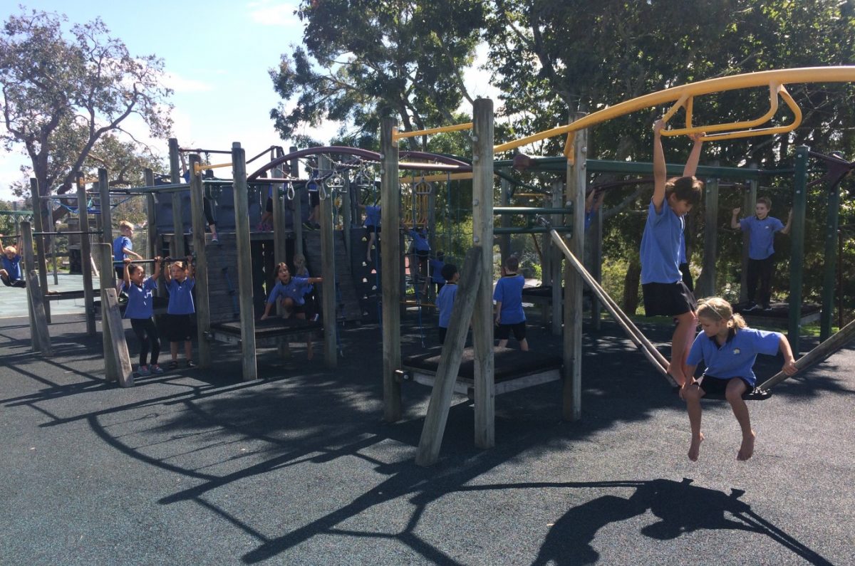 Our Curriculum – Torbay School