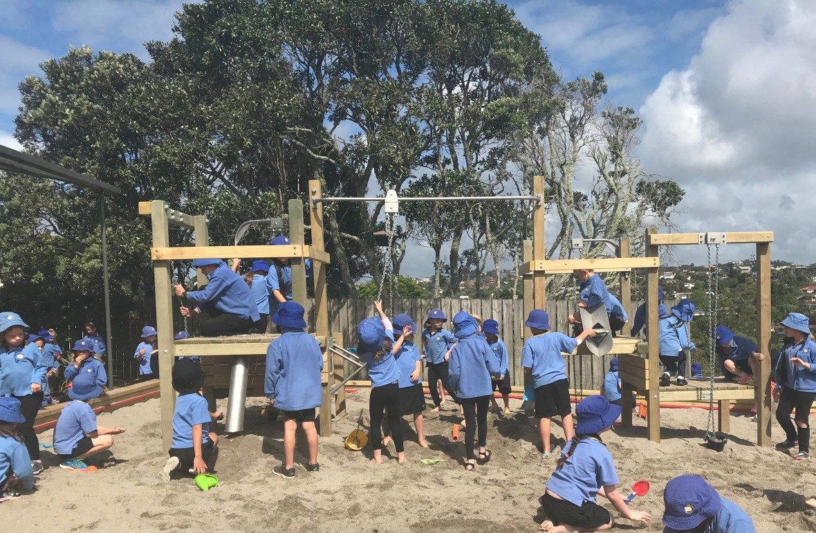 Our School – Torbay School