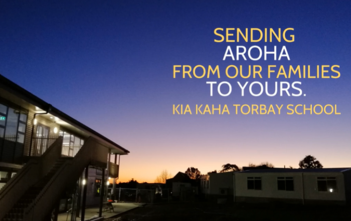 Newsletters – Torbay School