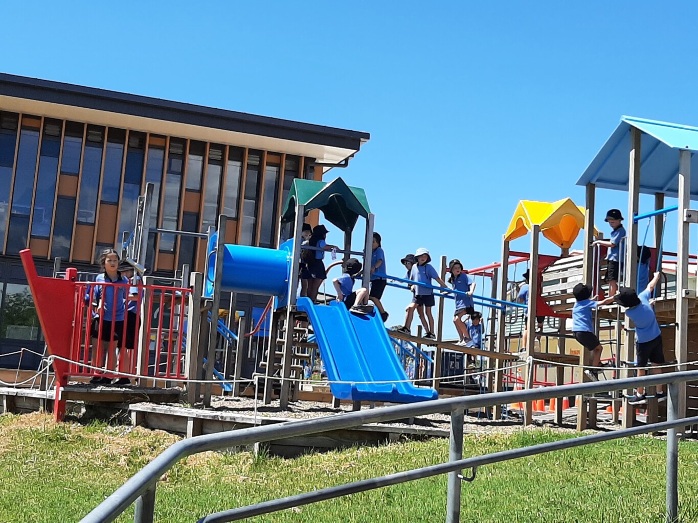 Our School – Torbay School